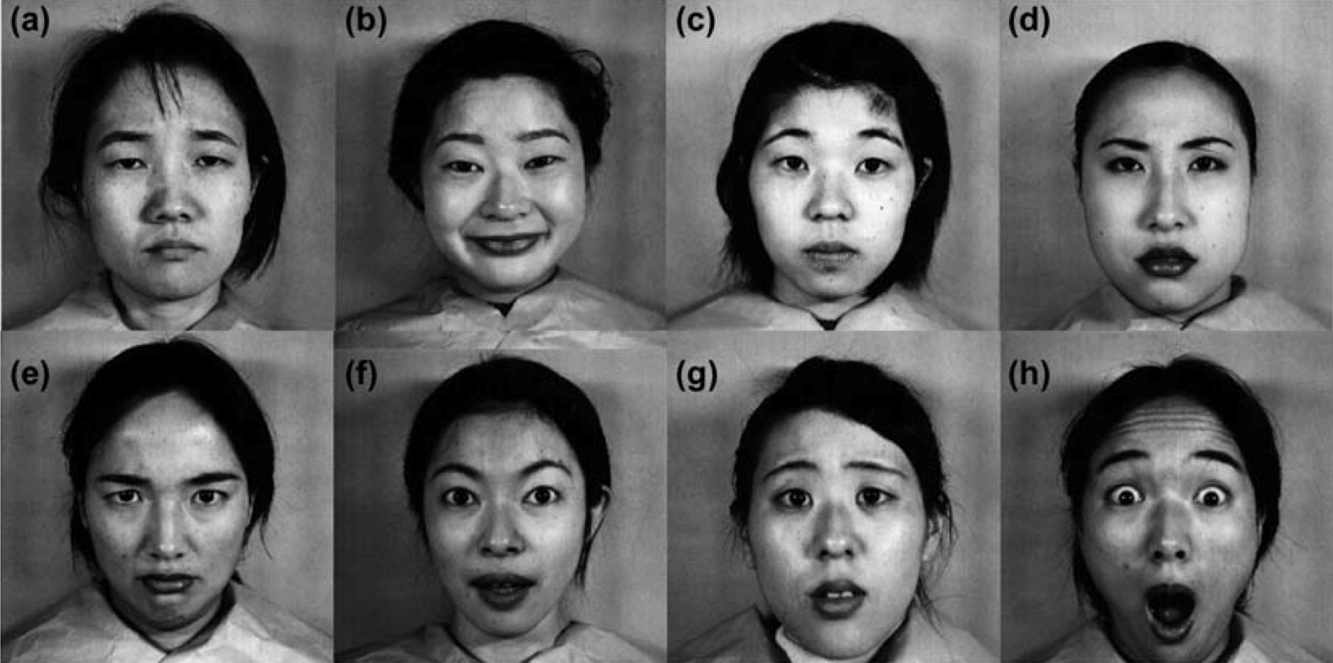 Facial-Affect Estimation | CIMLab